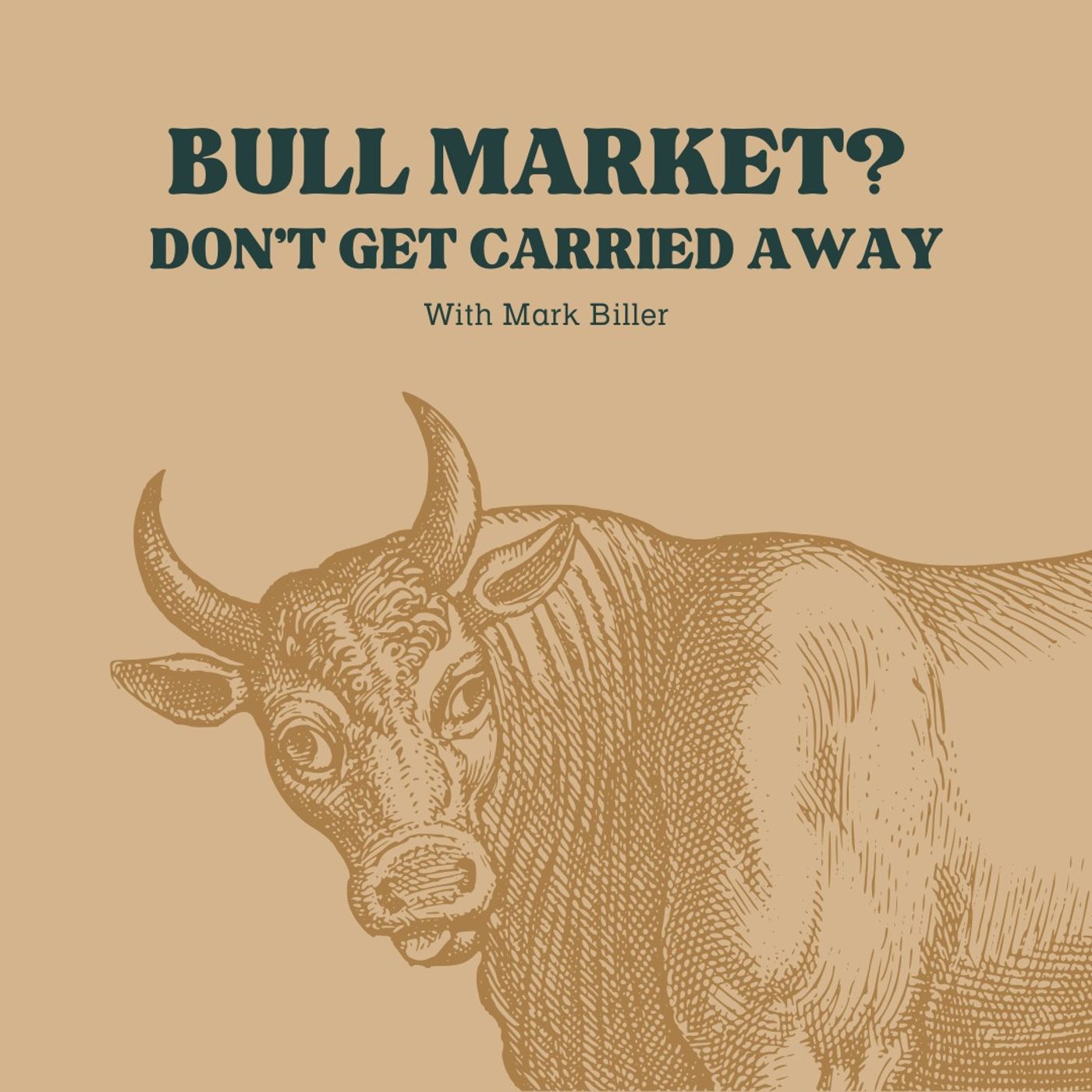Bull Market? Don’t Get Carried Away with Mark Biller | FaithFi